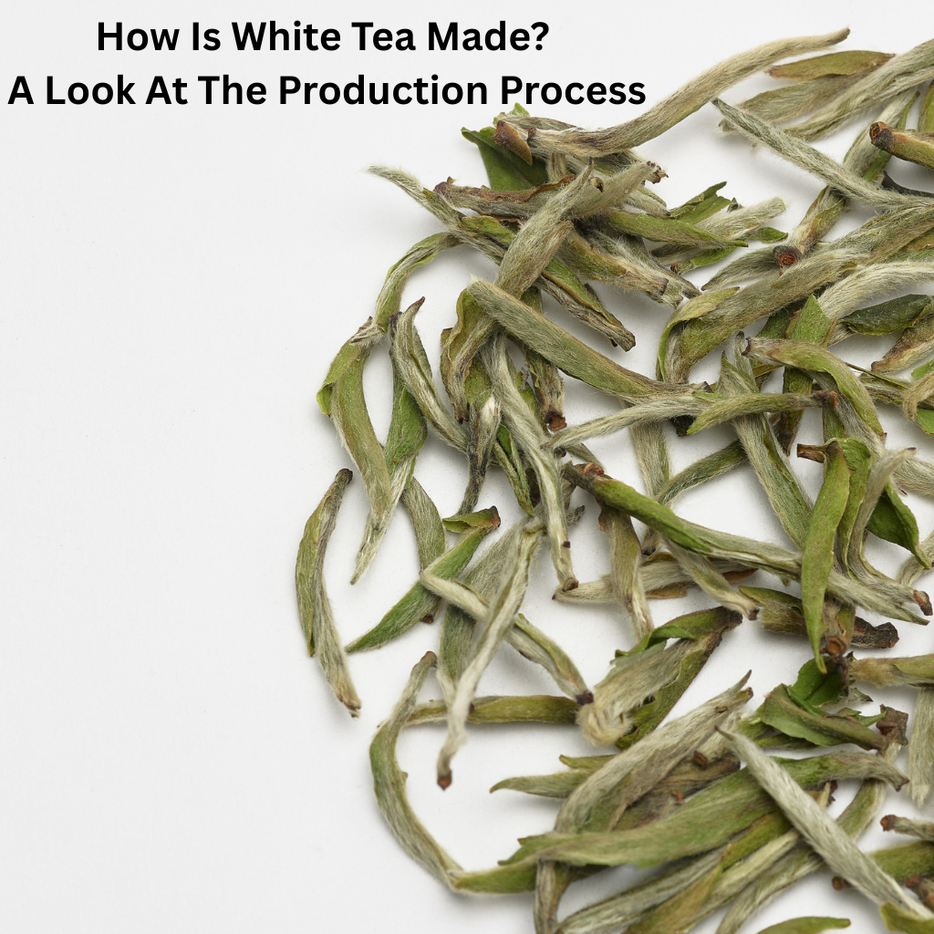 How Is White Tea Produced? A Look At the Production Process – ICHA TEA