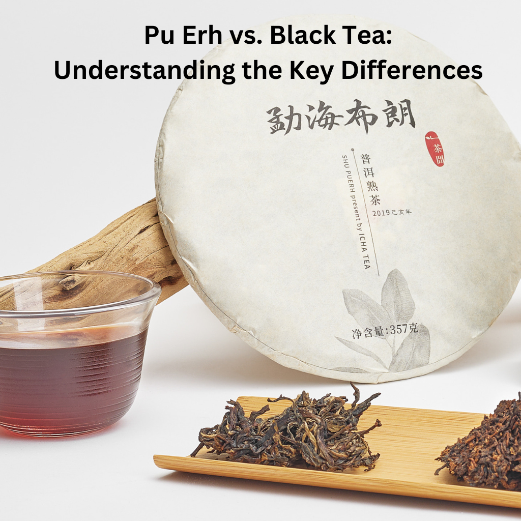 Pu Erh vs. Black Tea Understanding Differences – ICHA TEA