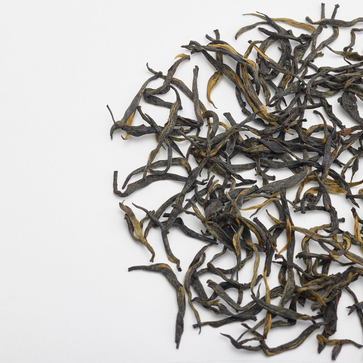 Mei Zhan Jin Jun Mei (Golden Eyebrows 梅占金骏眉) – ICHA TEA